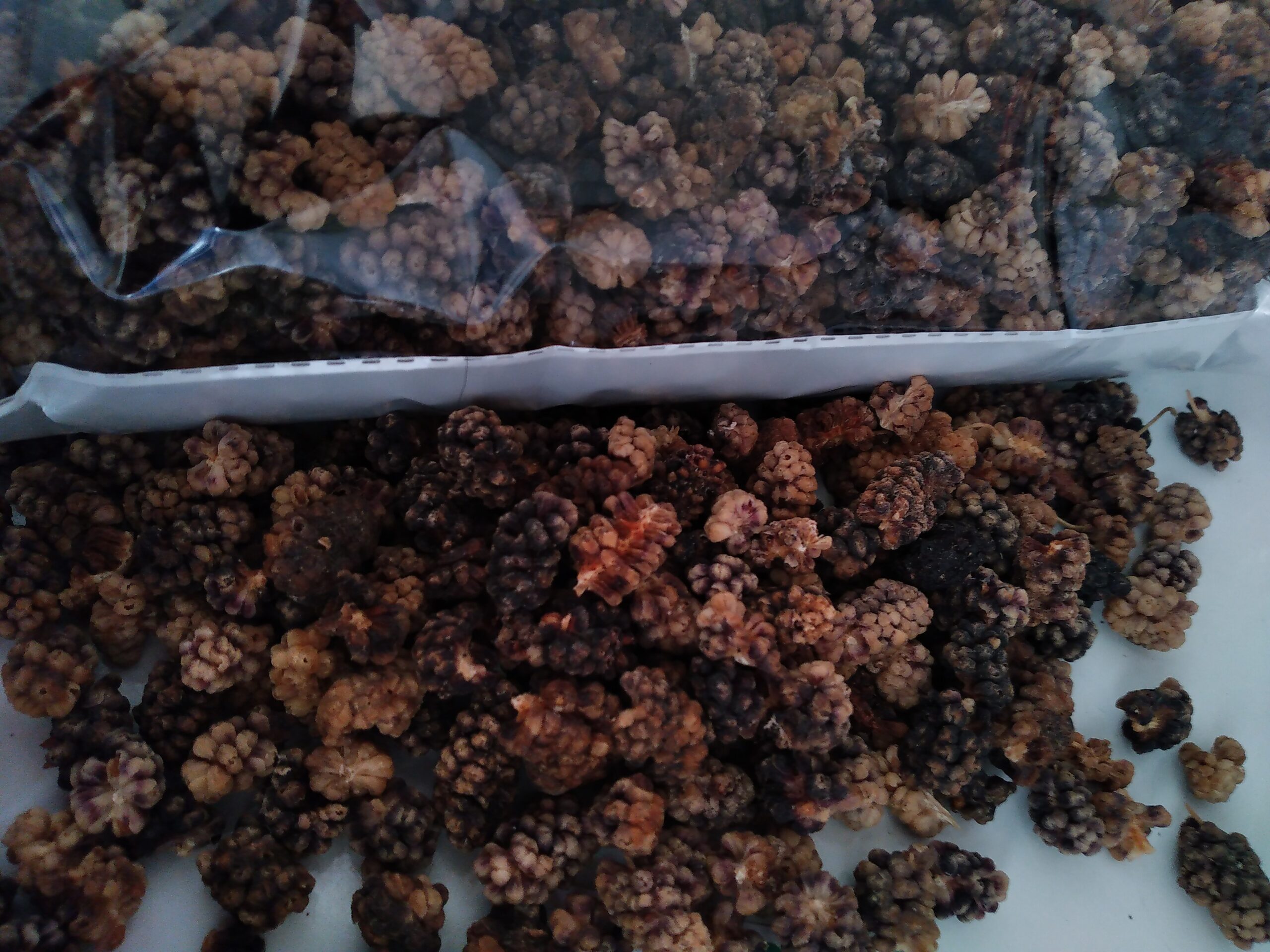 Afghan Dried Black Mulberries - Made By Afghan Women | E-Commerce Platform